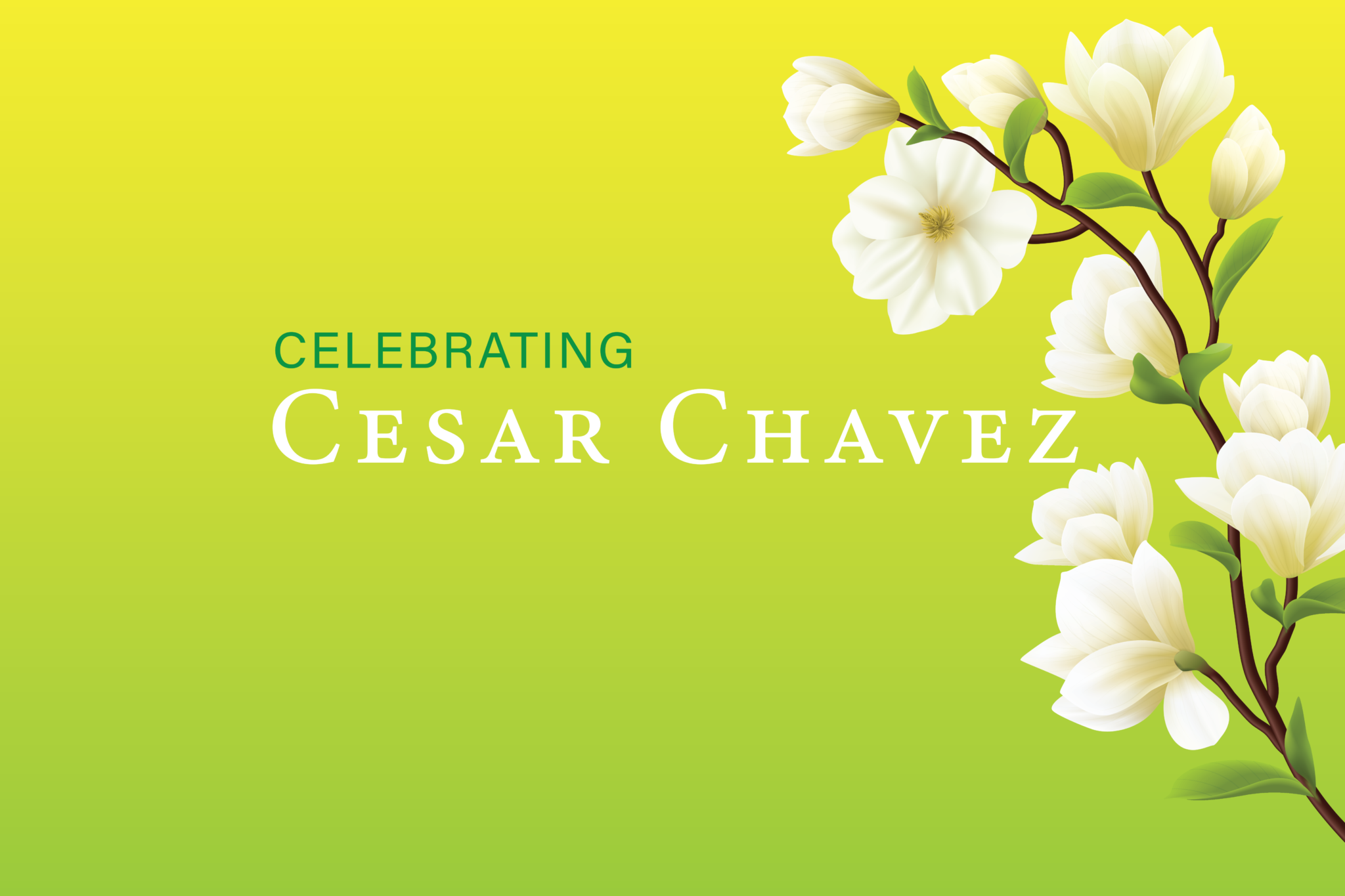 Honoring Cesar Chavez - Level Up NorCal